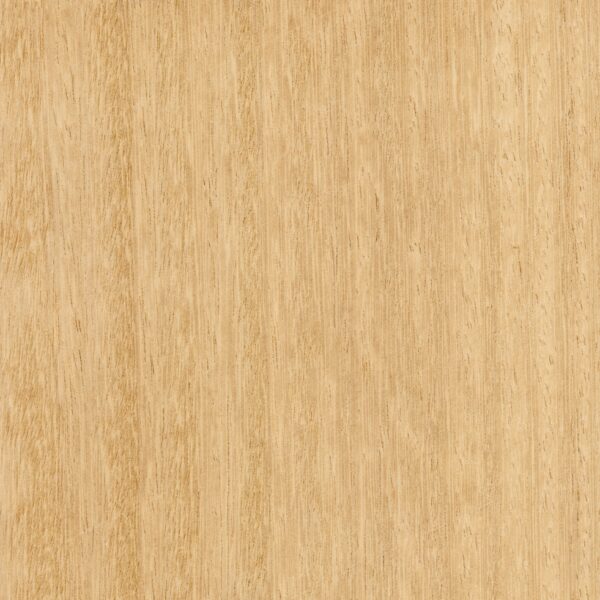 IROCO – Jesus del ser